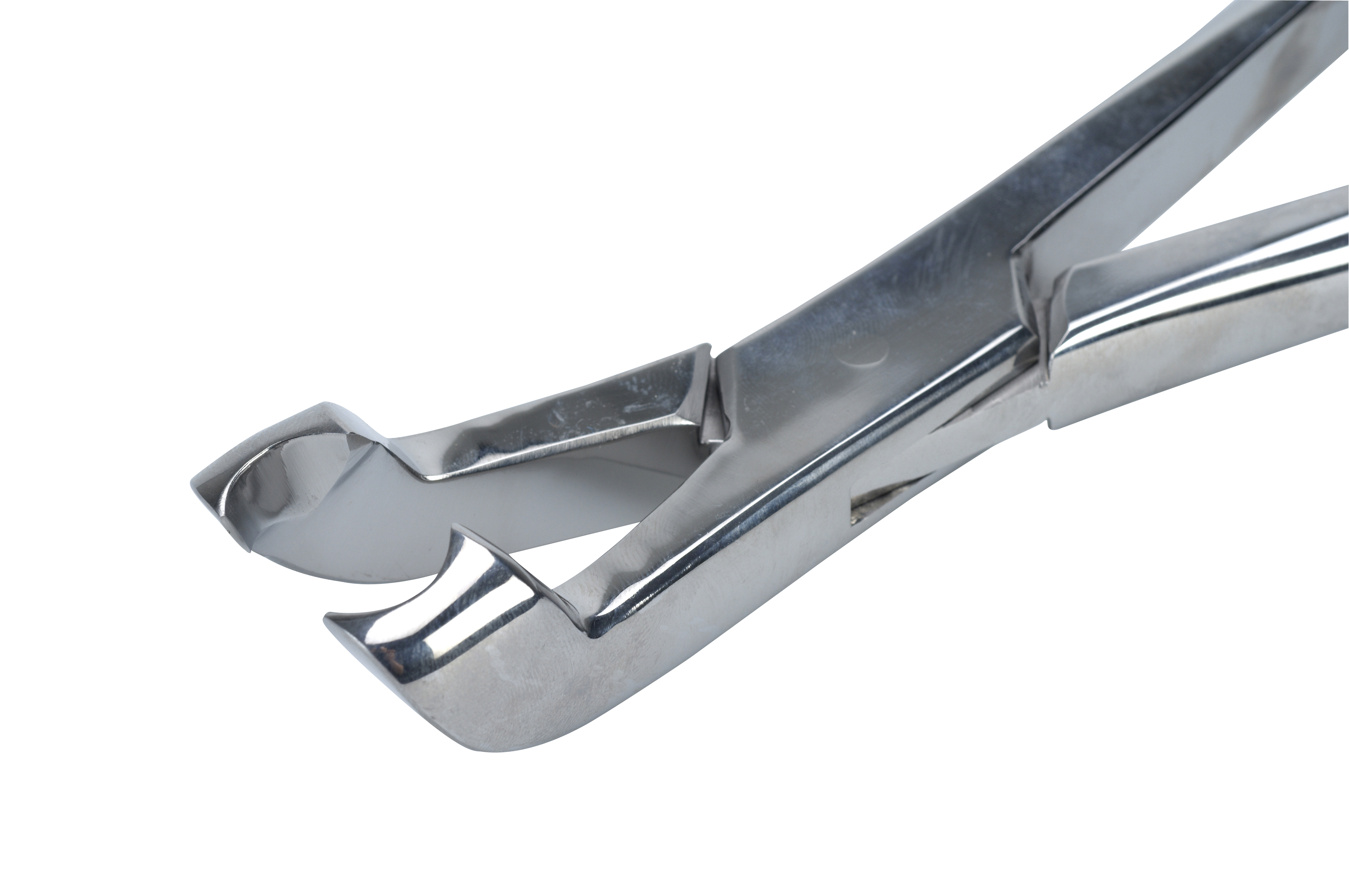 EQUIVET Reynolds Cap Forceps Upper Jaw, 37.5 cm