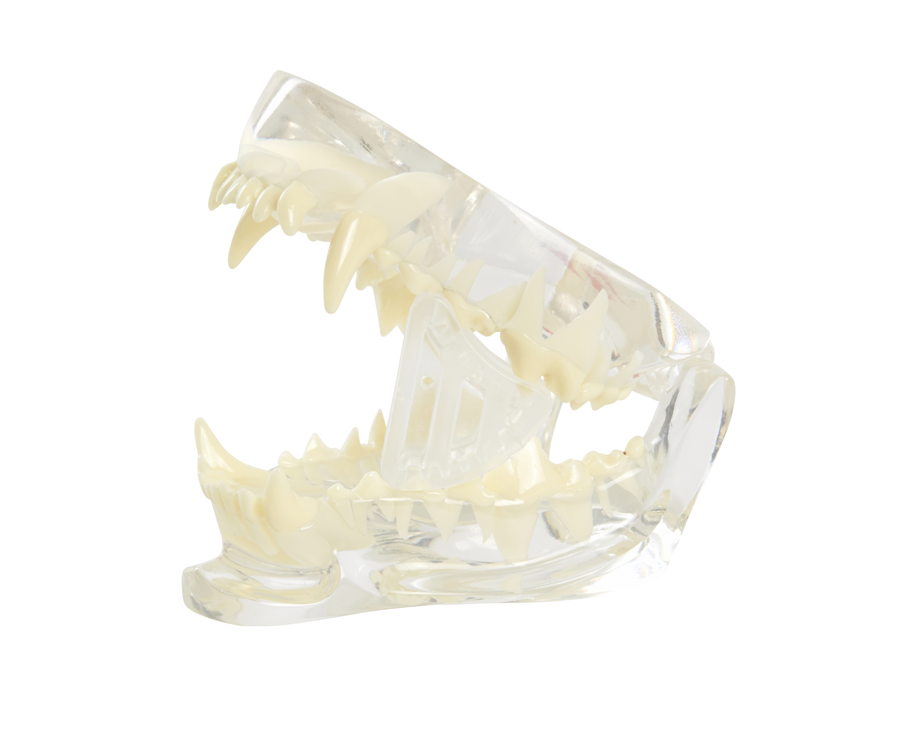 BUSTER wedge mouth prop, S