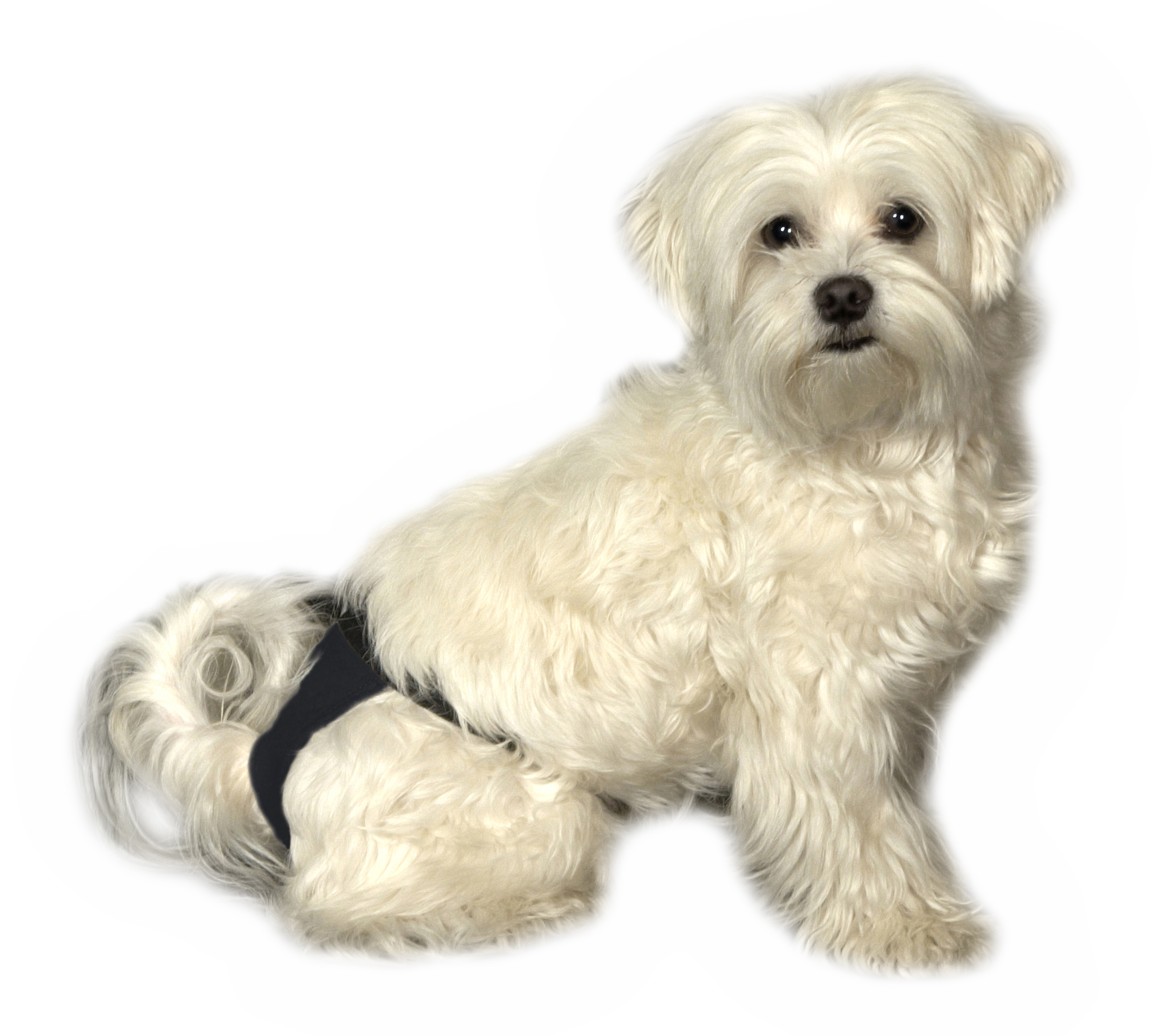 BUSTER Sanitary Pants menstrual pad, S, 25/pk