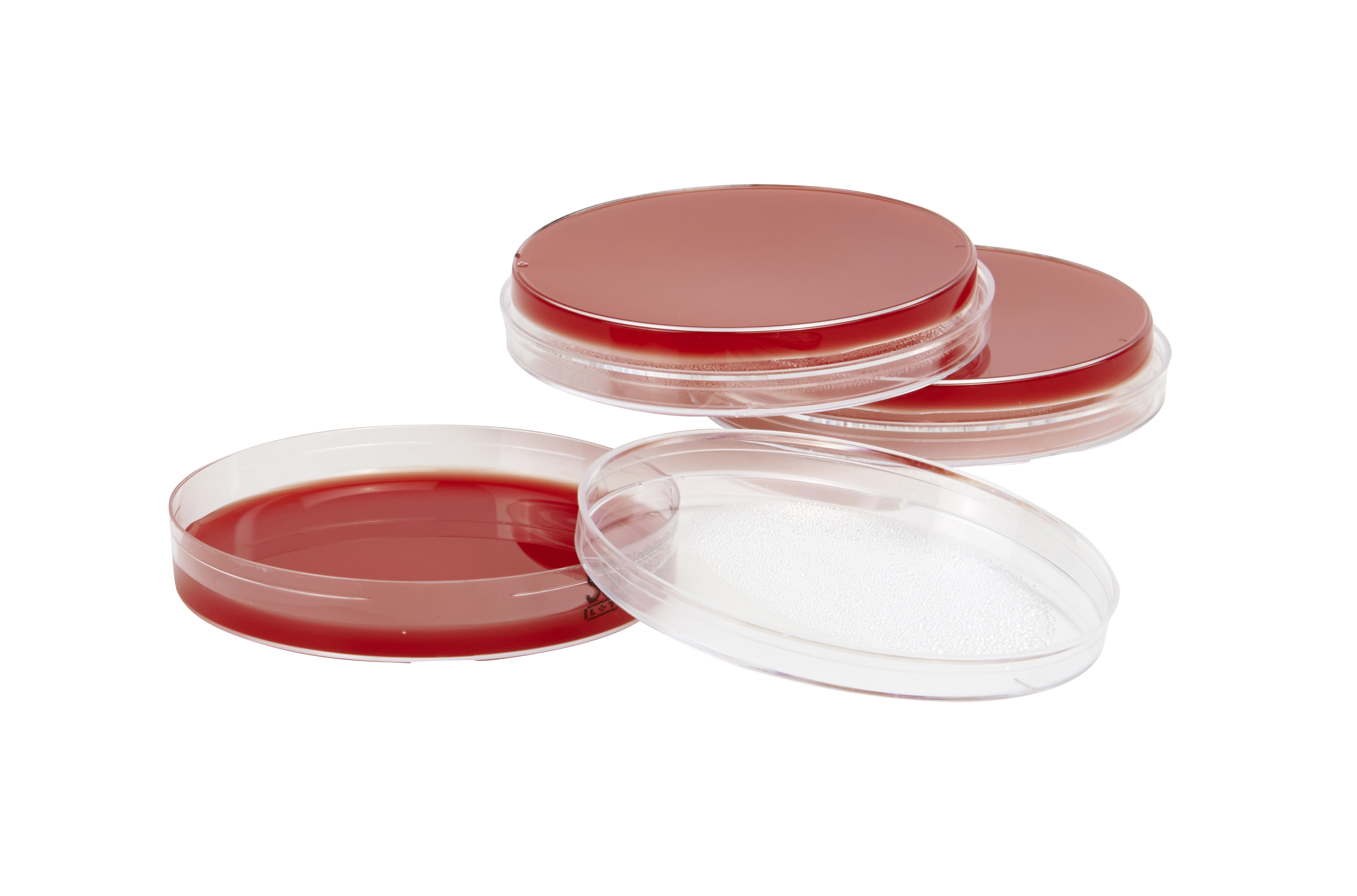 Blood agar plates with esculin, 10/pk